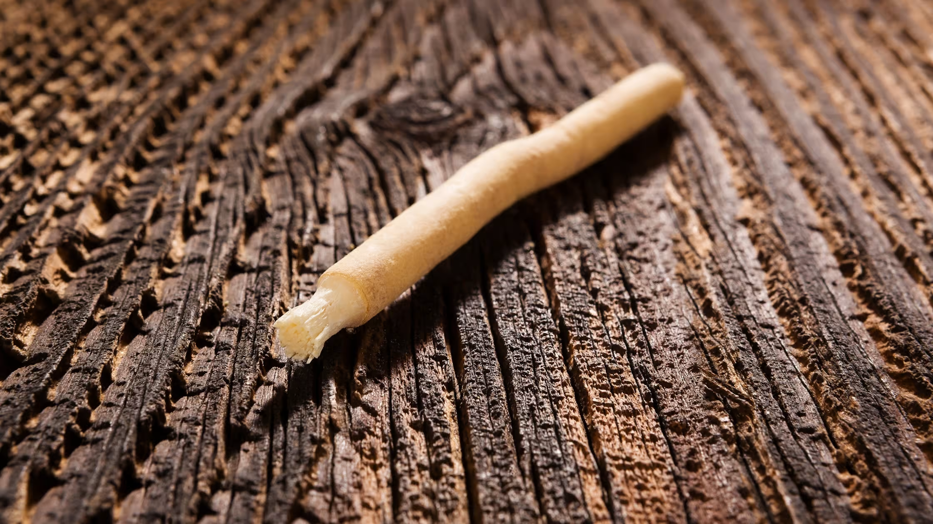 Siwaks ou Miswaks de Qualité Chez My Siwak, le Spécialiste du Siwak